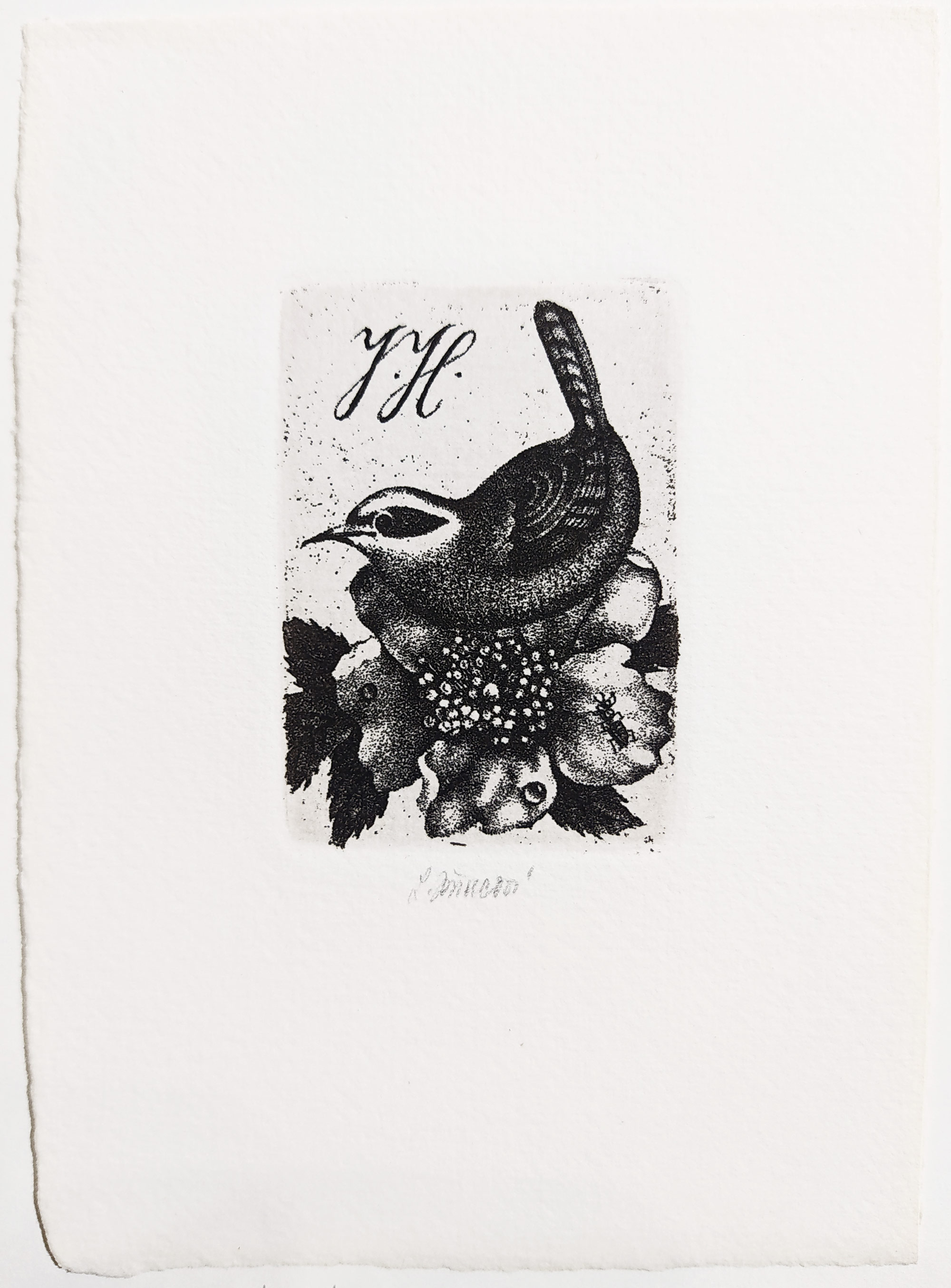 Ludmila Jiřincová – Ex libris J. H. (Josef Hrubý), grafika, prodej